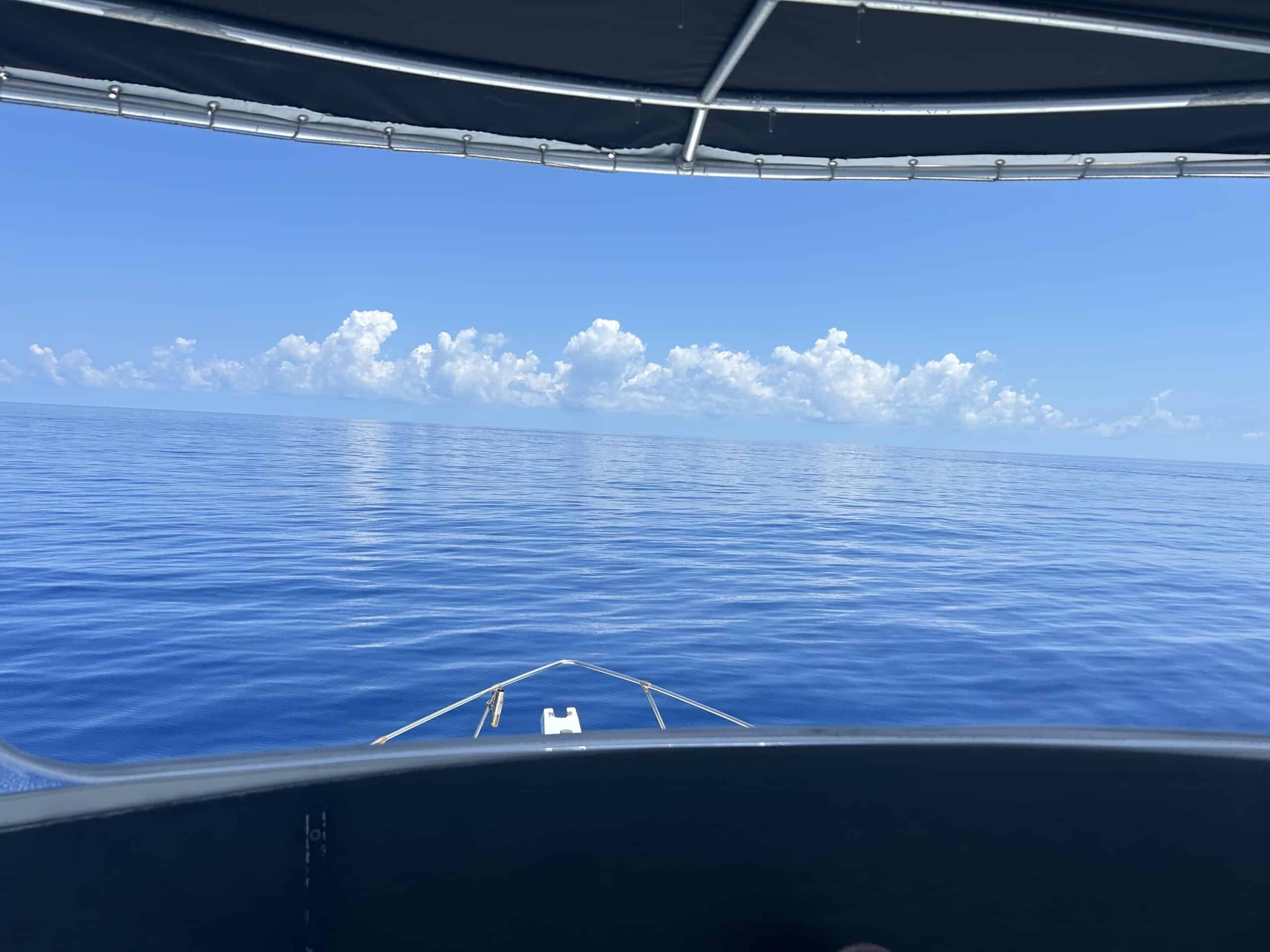 Catch of the Day - Southbound Sportfishing